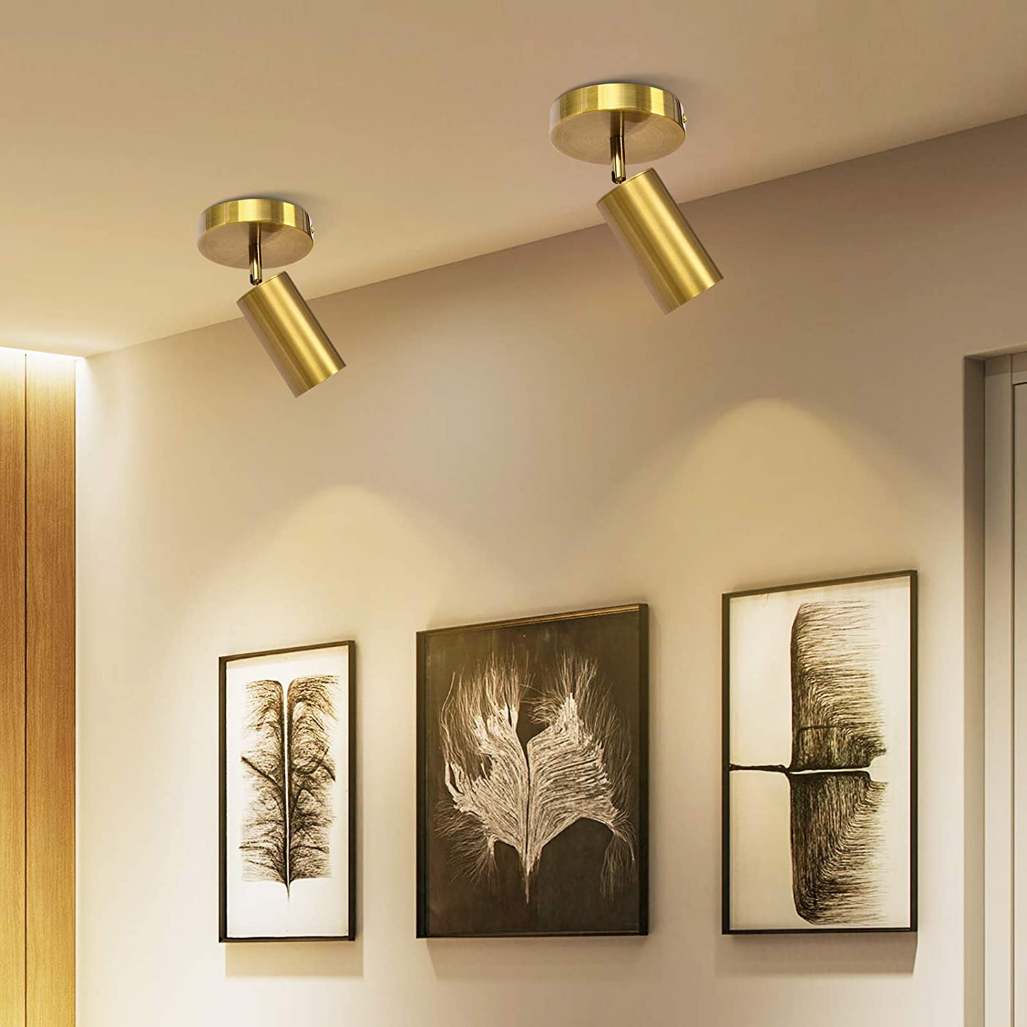 Shining a Light on Style: The Versatility of Spotlights and Pendants ...