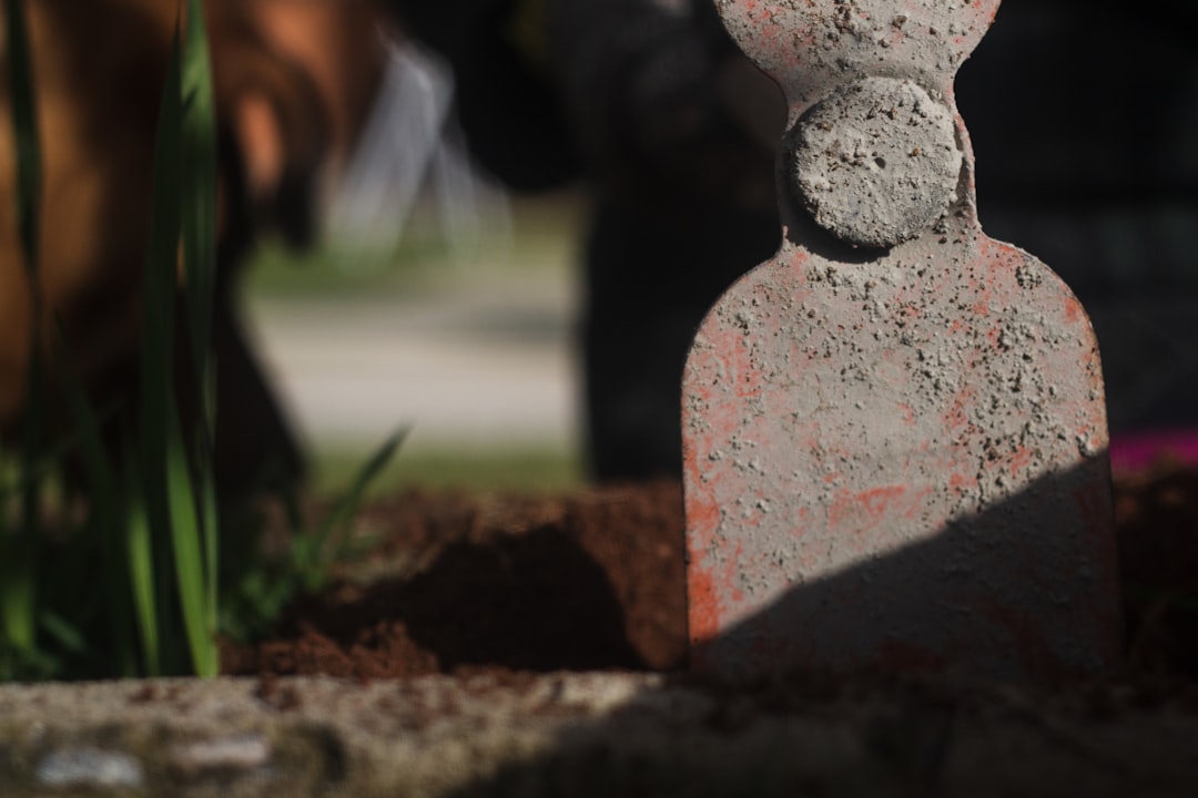 Enhance Your Outdoor Space with Solar LED Meteor Shower Lamps ...